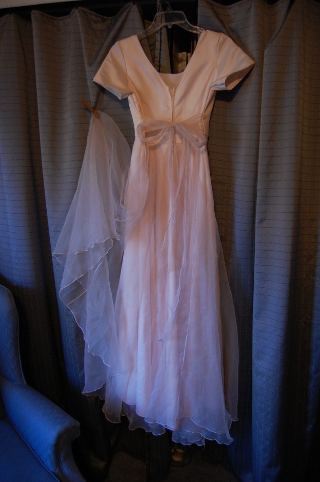 The Gray Lady (Ghost) Costume | Teton Trekker