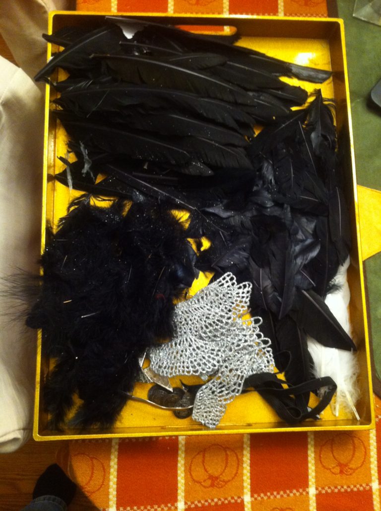 Valkyrie Costume | Teton Trekker