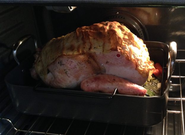 Julie's Perfect Roast Turkey & Mashed Potatoes | Teton Trekker